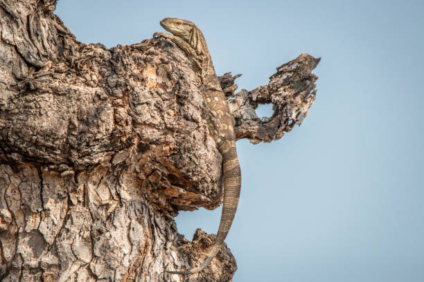 50,000+ Free Rock Monitor & Computer Photos - Pixabay
