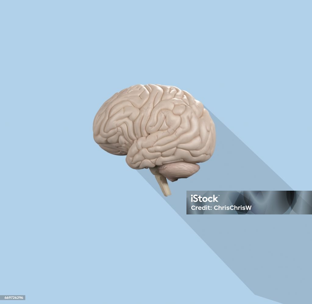 Infografis Otak Ikon Anatomi Otak Pada Latar Belakang Biru3d Ilustrasi ... Infografis Otak Ikon Anatomi Otak Pada Latar Belakang Biru3d Ilustrasi ...