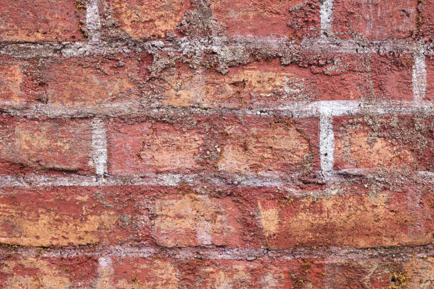 Free picture: Grunge wall texture with decay cement and ceramic tiles