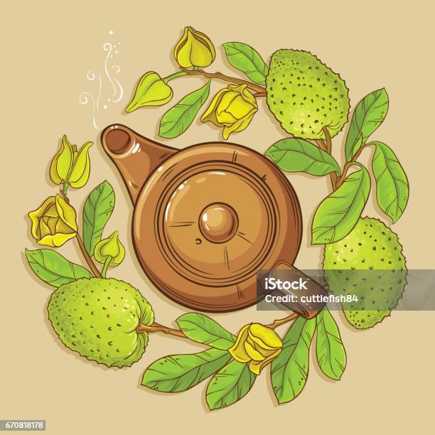 Soursop 차 벡터 일러스트 레이 션 가시여지에 대한 스톡 벡터 아트 및 기타 이미지 가시여지 일러스트레이션 잎차