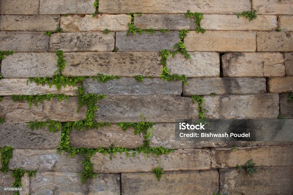 Batu Dengan Tekstur Rumput Foto Stok Unduh Gambar Sekarang Air