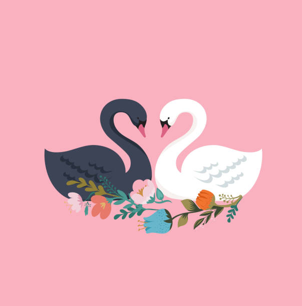 Free Stock Photo of Pink Swan | Download Free Images and Free Illustrations