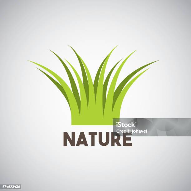 Nature Grass Field Background Stock Illustration Download Image Now Abstract Agricultural