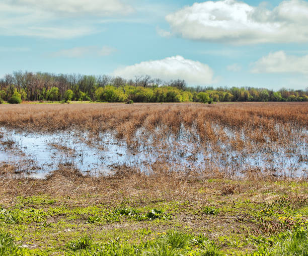 Free picture: montezuma, slough