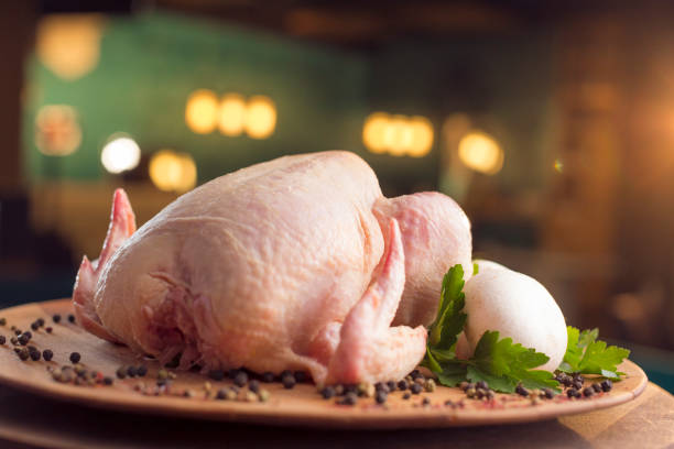 Free picture: chicken, feather, table, animal