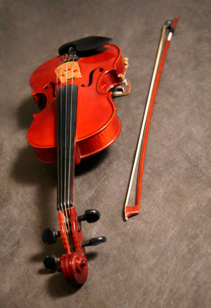 Violon Pictures | Download Free Images on Unsplash