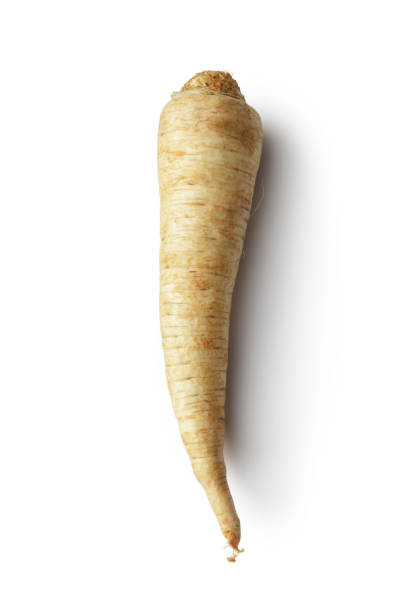 Parsnip Pictures | Download Free Images on Unsplash