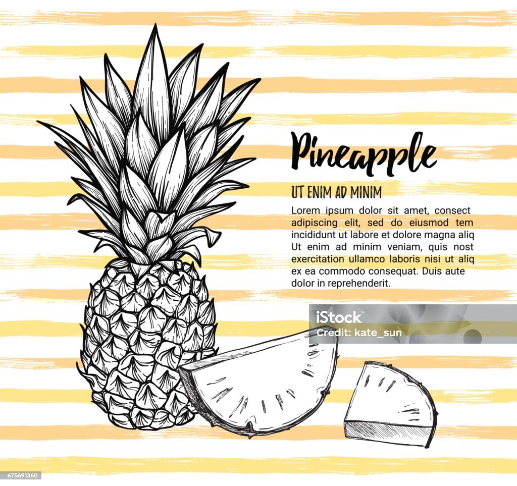 Ręcznie Rysowana Ilustracja Wektorowa Ananas Egzotyczne Owoce