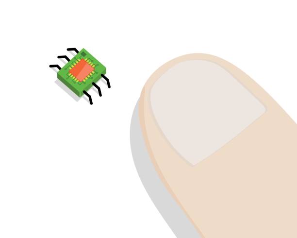 10 Biorobot Ilustrasi Grafik Vektor And Clip Art Bebas Royalti Terbaik
