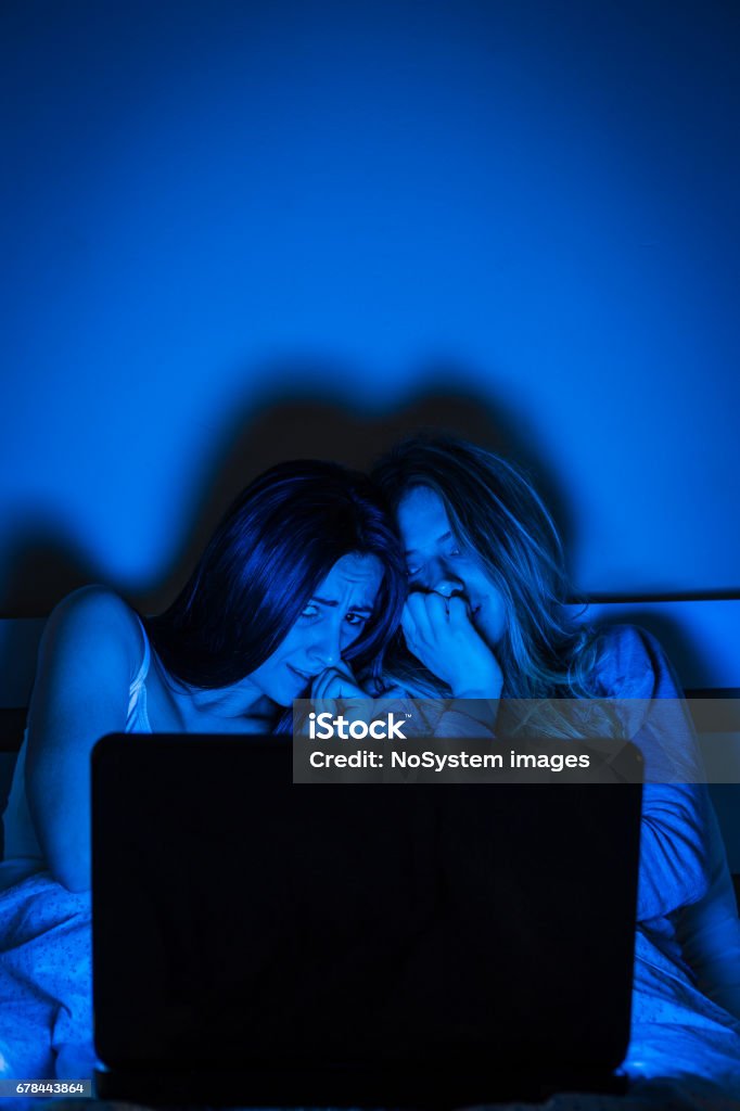 Roommates Lesbian Couple Watching Movie On Laptop At Home In Bedroom