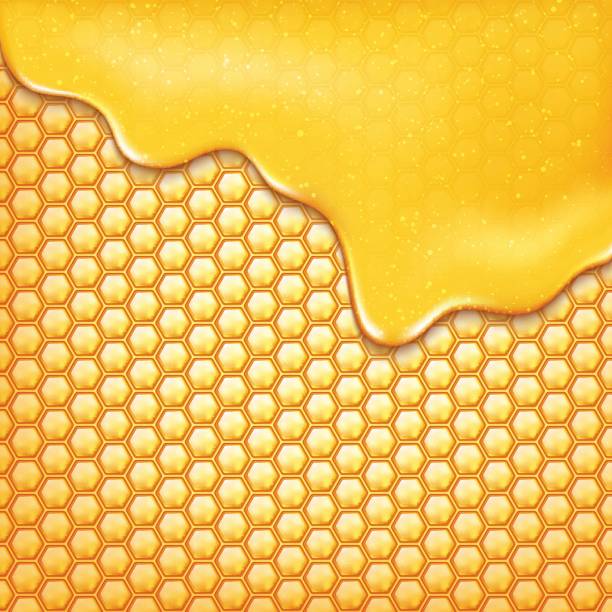 30 Seamless Dripping Honey Repeatable Isolated On White Stock