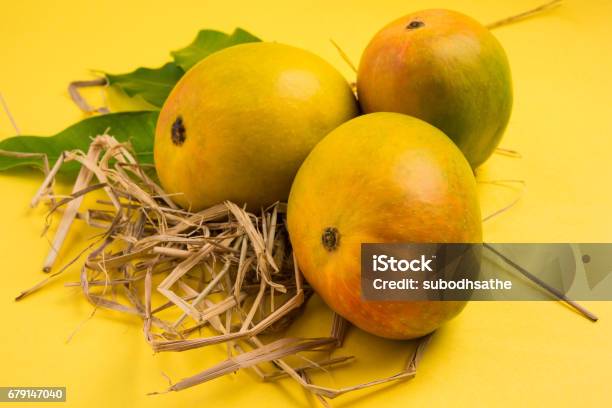 Raja Buahbuahan Alphonso Kuning Mangga Buah Duo Dengan Batang Dan Daun