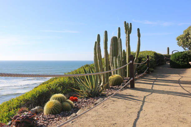 Encinitas Pictures | Download Free Images on Unsplash