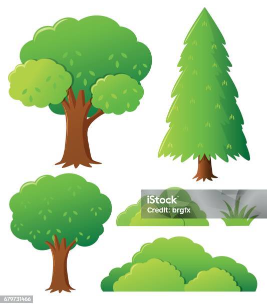 Différents Types Darbre Vecteurs Libres De Droits Et Plus Dimages
