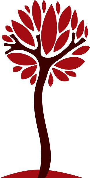 80 Grafiken Lizenzfreie Vektorgrafiken Und Clipart Zu Dendrologie