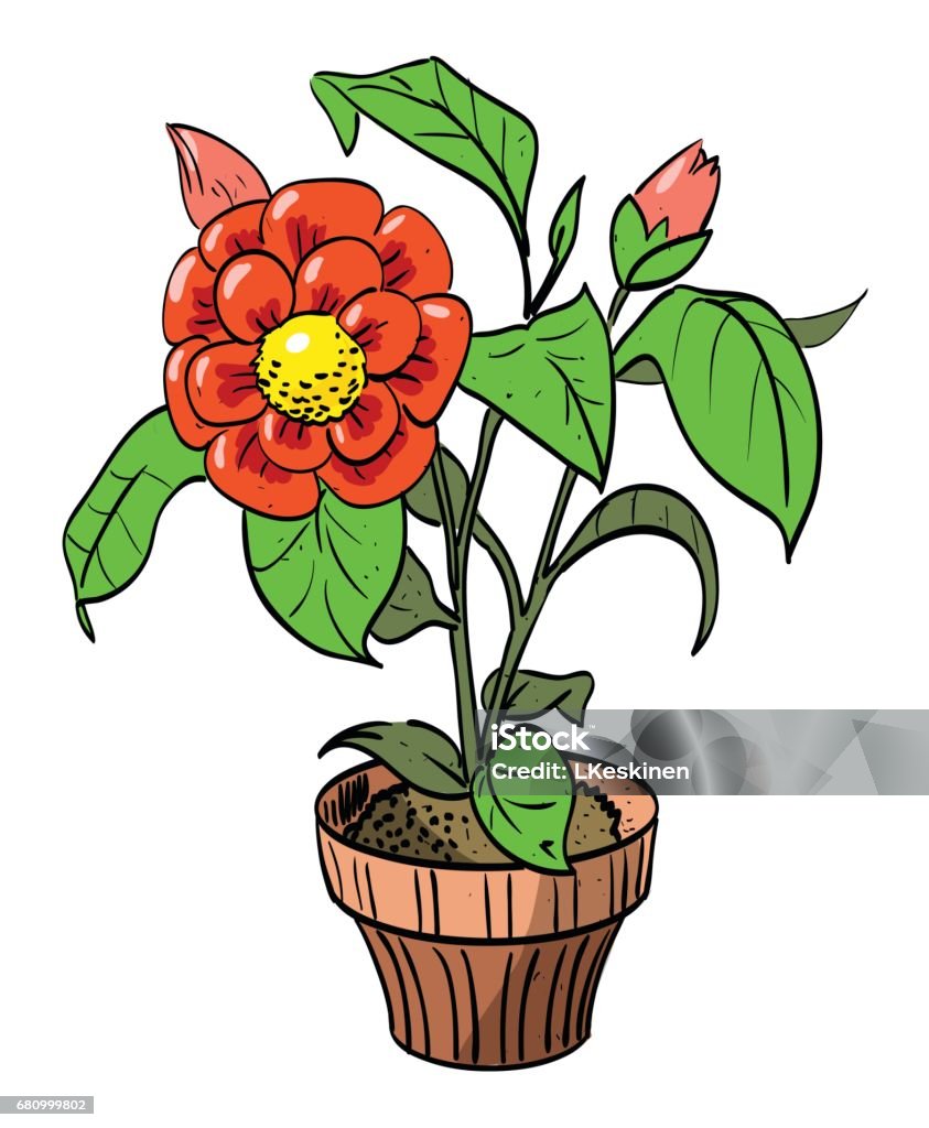 Gambar Kartun Tanaman Rumah Ilustrasi Stok Unduh Gambar Sekarang