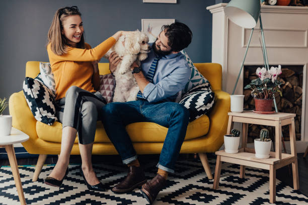 Pets At Home Pictures | Download Free Images on Unsplash