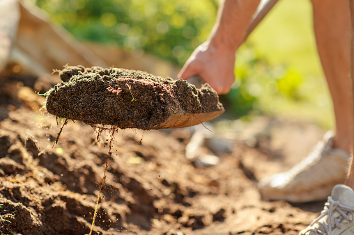 Bertani Berkebun Pertanian Dan Konsep Orang Pria Dengan Sekop Menggali