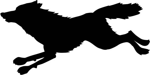 Free Wolf Running Vector Art - Download 906+ Wolf Running Icons ...