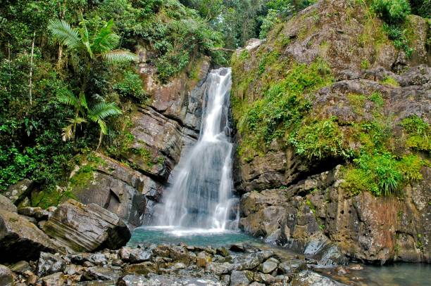 El Yunque Pictures | Download Free Images on Unsplash
