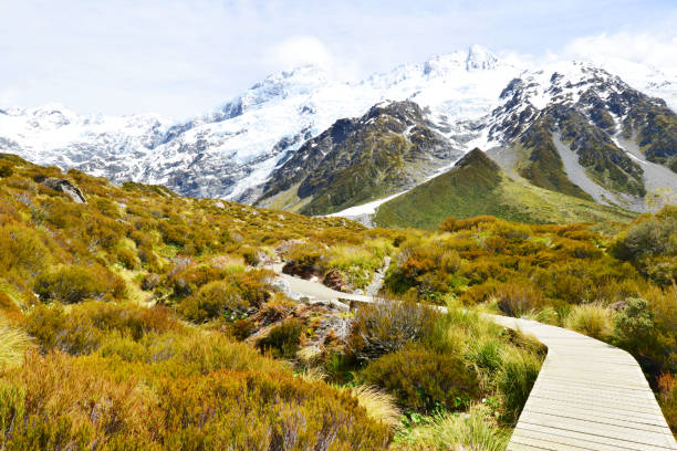Mount Cook Pictures | Download Free Images on Unsplash