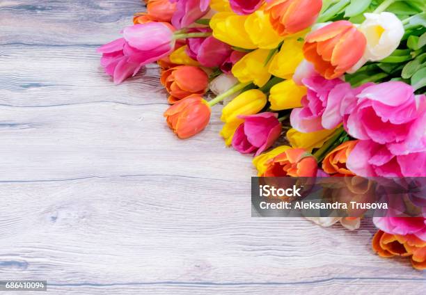 Buket Banyak Tulip Merah Muda Tata Letak Merah Dan Putih Kuning 8 Maret ... Buket Banyak Tulip Merah Muda Tata Letak Merah Dan Putih Kuning 8 Maret ...