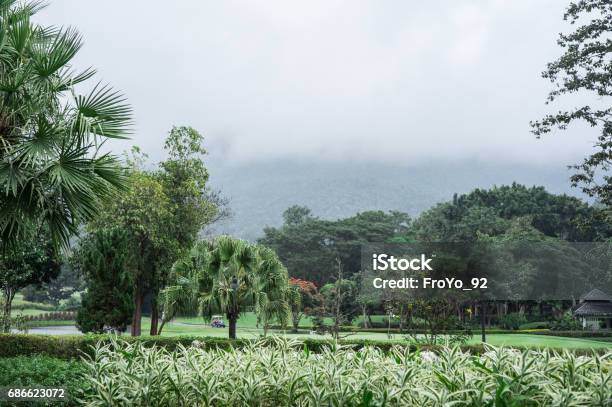 Lapangan Rumput Hijau Di Taman Kota Besar Pemandangan Lanskap Lapangan ... Lapangan Rumput Hijau Di Taman Kota Besar Pemandangan Lanskap Lapangan ...