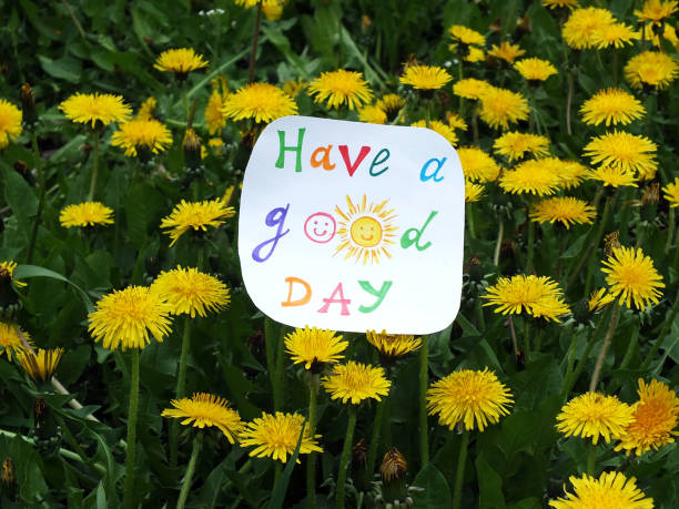 Have A Nice Day Pictures | Download Free Images on Unsplash