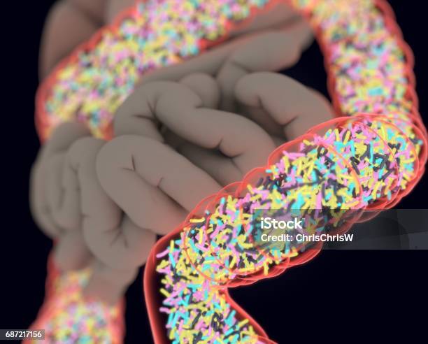 Darm Bakterien Microbiome Bakterien Im Dickdarm Konzept Repräsentation ... Darm Bakterien Microbiome Bakterien Im Dickdarm Konzept Repräsentation ...