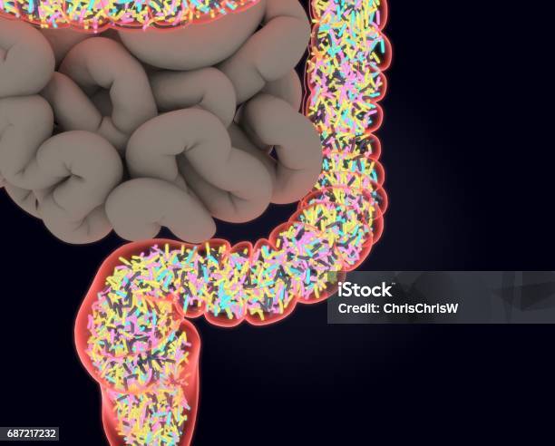 Darm Bakterien Microbiome Bakterien Im Dickdarm Konzept Repräsentation ... Darm Bakterien Microbiome Bakterien Im Dickdarm Konzept Repräsentation ...
