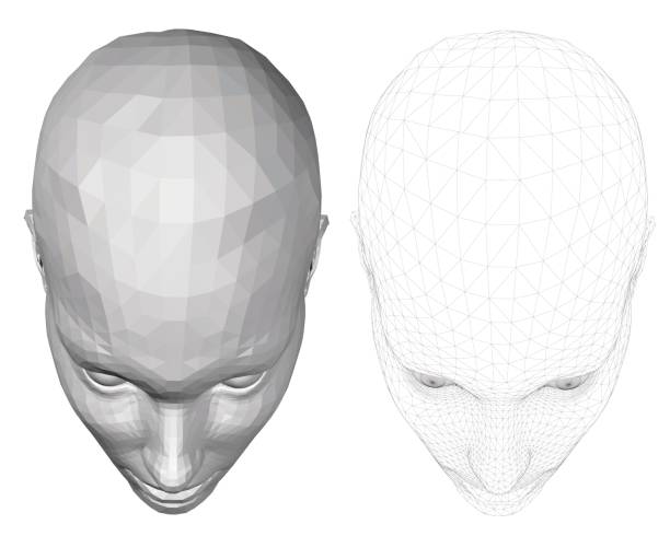 150 Head Different Angles Stock Illustrations Royalty Free Vector