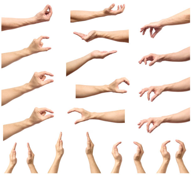 Free tiny hands stock photos. Download the best free tiny hands images ...