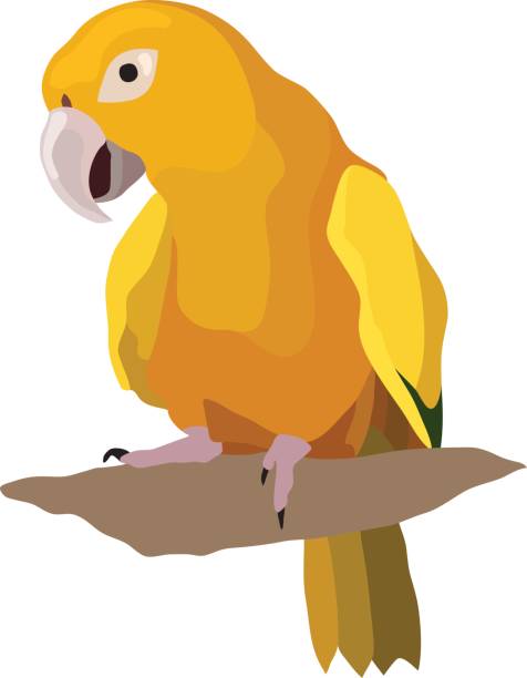 760+ Talking Parrot Stock Illustrations, Royalty-Free Vector Graphics ... 760+ Talking Parrot Stock Illustrations, Royalty-Free Vector Graphics ...