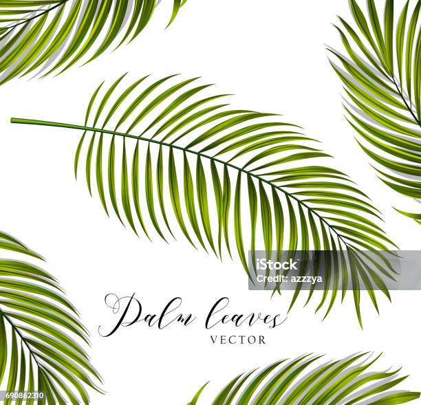 Daun Palem Vektor Ilustrasi Stok - Unduh Gambar Sekarang - Alam, Bagian ... Daun Palem Vektor Ilustrasi Stok - Unduh Gambar Sekarang - Alam, Bagian ...