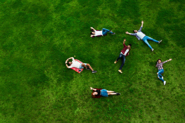 Free Stock Photo of Group of People Laying on Lush Green Field ...