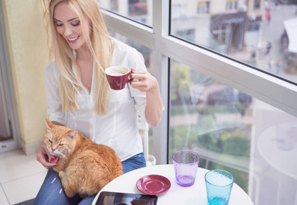 Free Stock Photo of Blonde woman smiling with cat and wine | Download ...