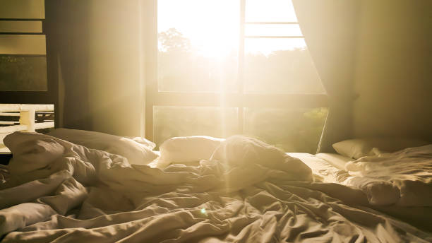The Sun Bed Pictures | Download Free Images on Unsplash