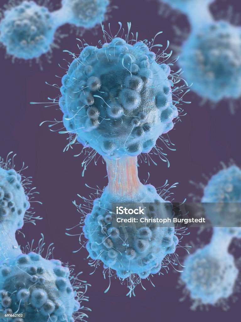 Ilustrasi 3d Sel Kanker Dalam Proses Mitosis Foto Stok Unduh Gambar