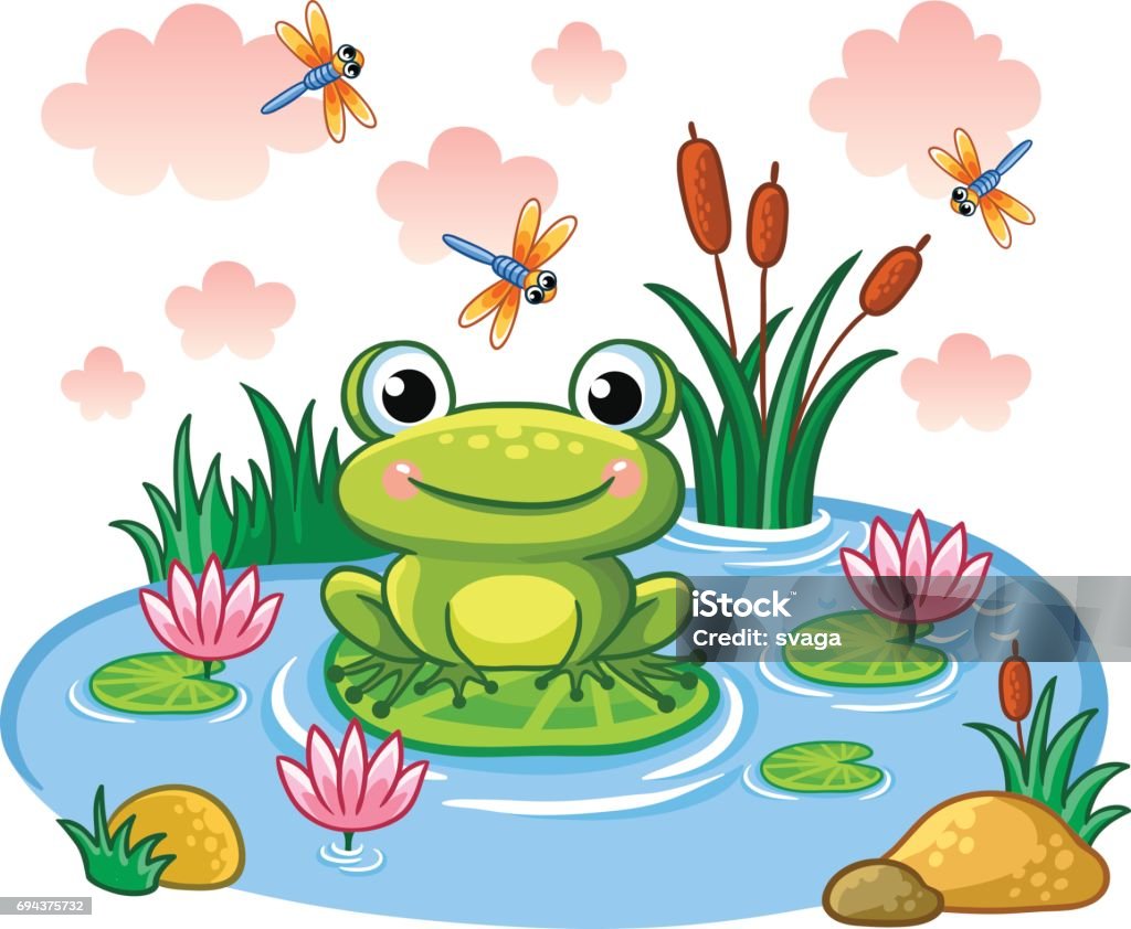 Katak Duduk Di Atas Daun Di Kolam Ilustrasi Stok Unduh Gambar