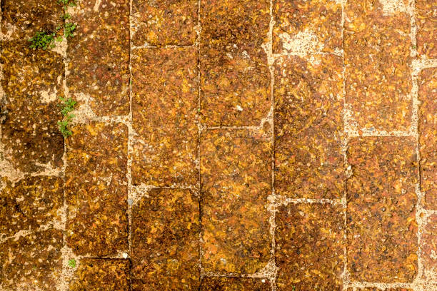 Free picture: Wet dirty bricks pavement masonry texture