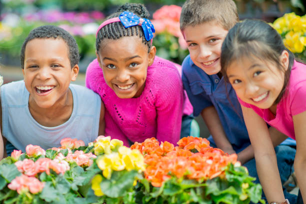 Free Stock Photo of Flower gardens in bloom | Download Free Images and ...
