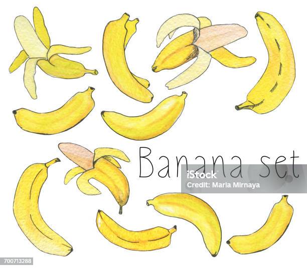 Satz Von Hand Gezeichnete Aquarell Gelbe Bananen Stock Vektor Art Und