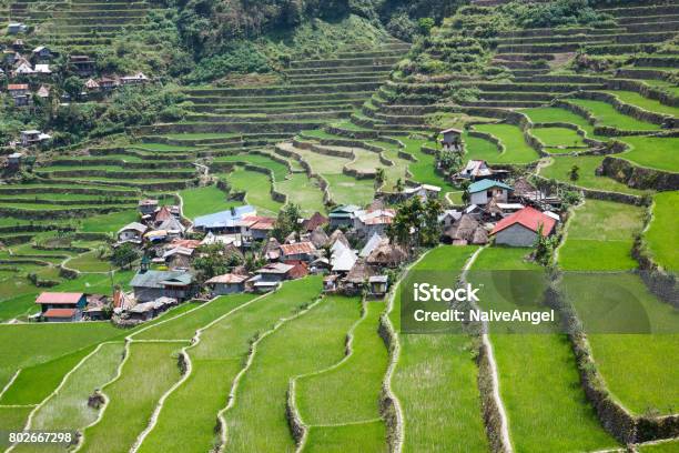 Batad 라이스 필드 테라스 Ifugao 지방 바 필리핀에서 0명에 대한 스톡 사진 및 기타 이미지 0명 Unesco