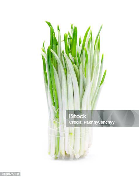 Ramson 무리 흰색 배경에 고립 된 야채 0명에 대한 스톡 사진 및 기타 이미지 0명 곰 마늘 Istock