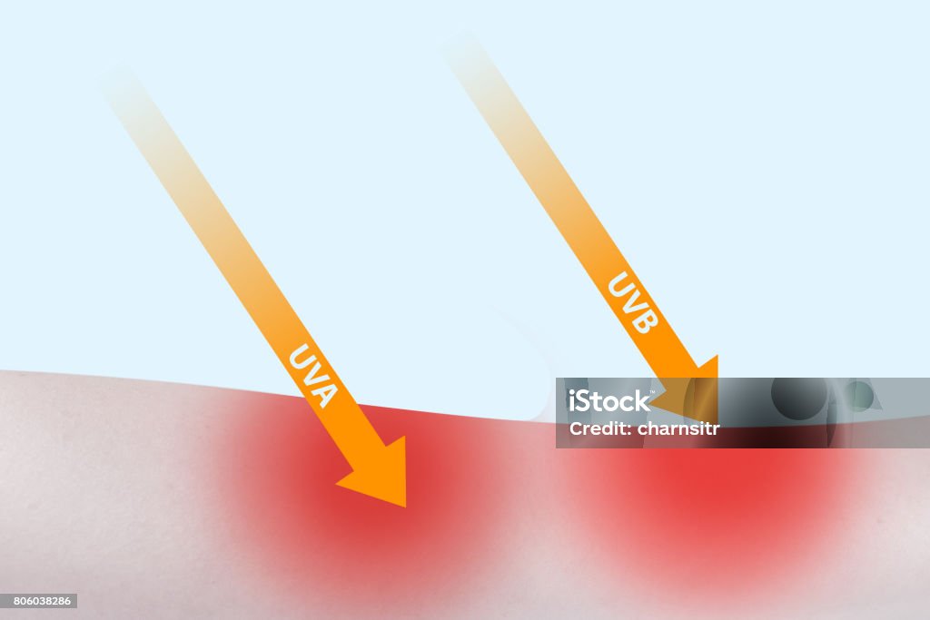 Uva와 Uvb는 피부에 침투와 함께 여자 팔 자외선에 대한 스톡 사진 및 기타 이미지 자외선 피부 건강관리와 의술