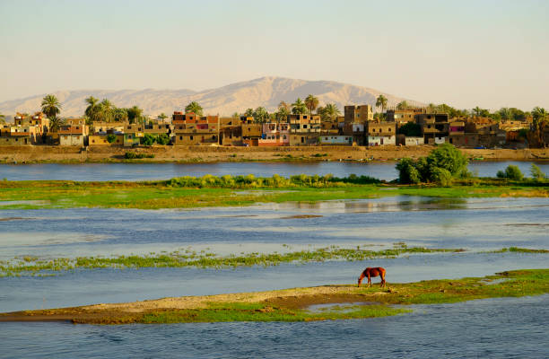 1000+ Nile River Pictures | Download Free Images on Unsplash