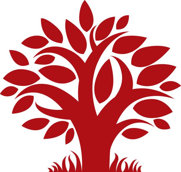 80 Grafiken Lizenzfreie Vektorgrafiken Und Clipart Zu Dendrologie