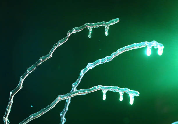 Free icycle stock photos. Download the best free icycle images at ...