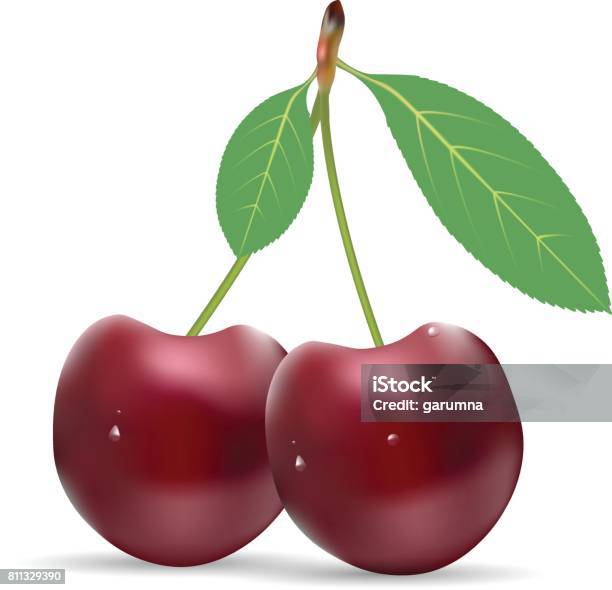 Reife Rote Kirsche Beeren Mit Blättern Isoliert Auf Weißem Hintergrund
