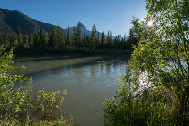 Free picture: headwaters, Columbia, river, Canadian, rockies